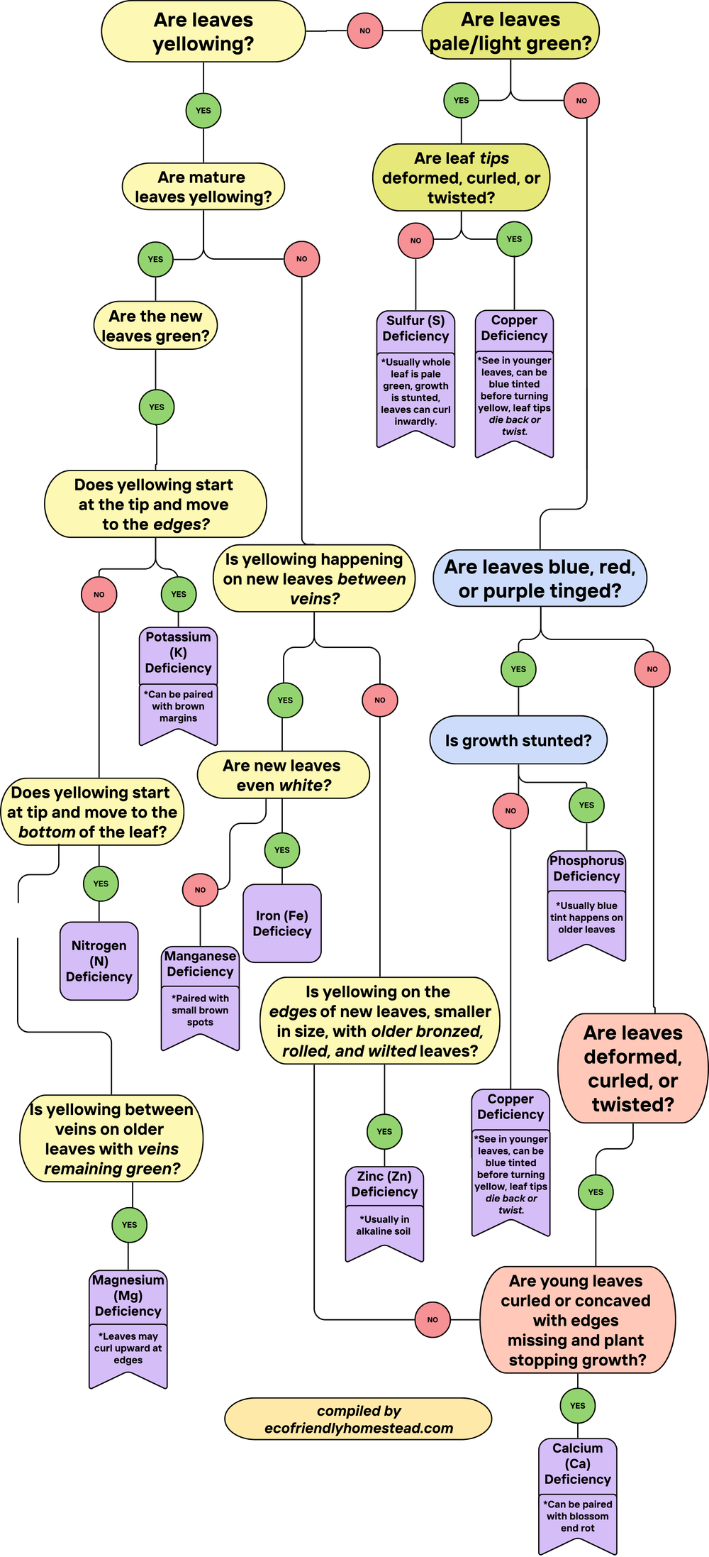 Signs of Plant Nutrient Deficiencies