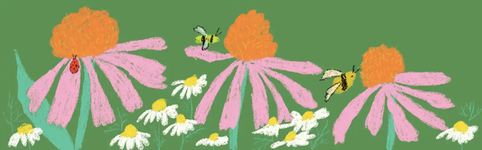 Cracking Seed Dormancy: Understand the Key Triggers and Solutions for ...