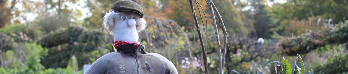 Shade-Loving Edibles: 81 Food Crops to Grow in Low-Light Gardens