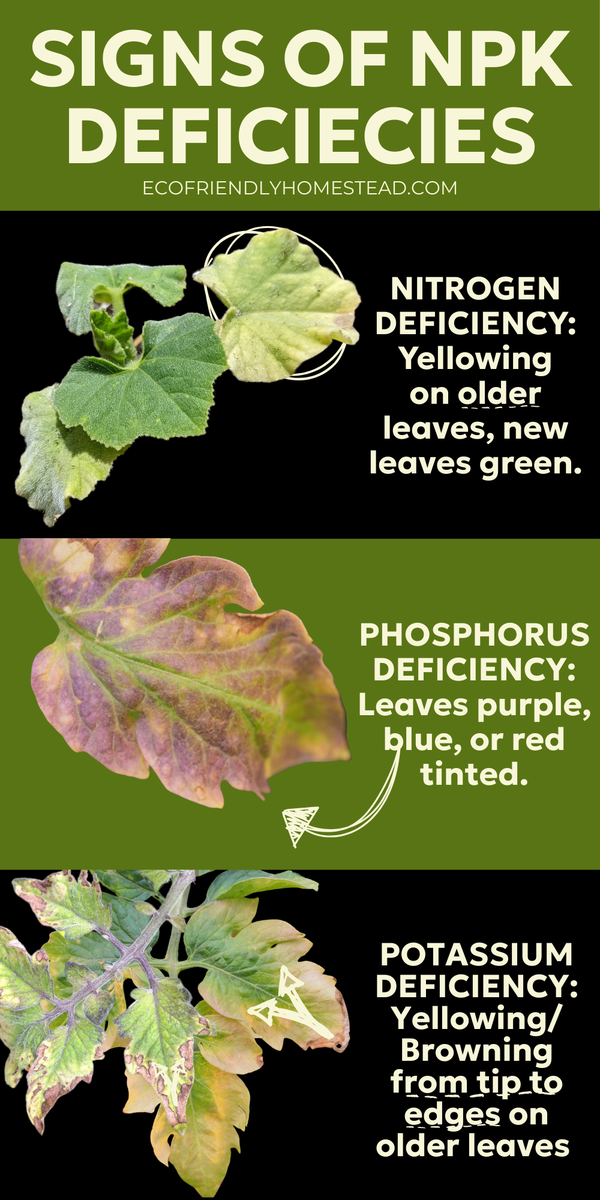 Signs of Plant Nutrient Deficiencies